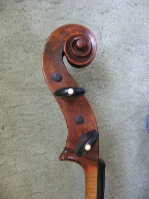 Interesting Scrolls - and other decoration - The Pegbox - Maestronet Forums