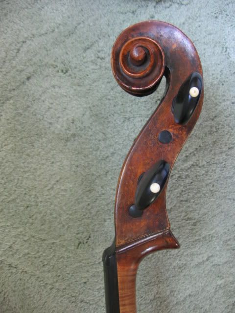 Interesting Scrolls - and other decoration - The Pegbox - Maestronet Forums