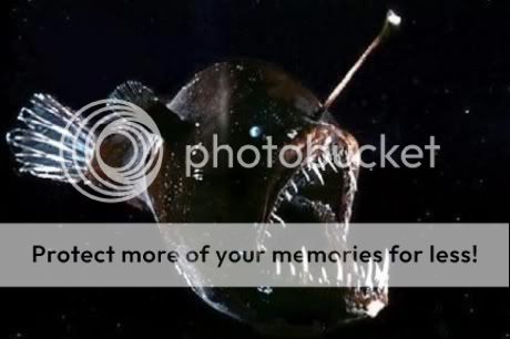 What are your thoughts on this pic? *WARNING GRAPHIC* - Page 4 - AR15.COM