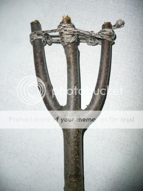 Gypsy Catapult | Slingshots Forum