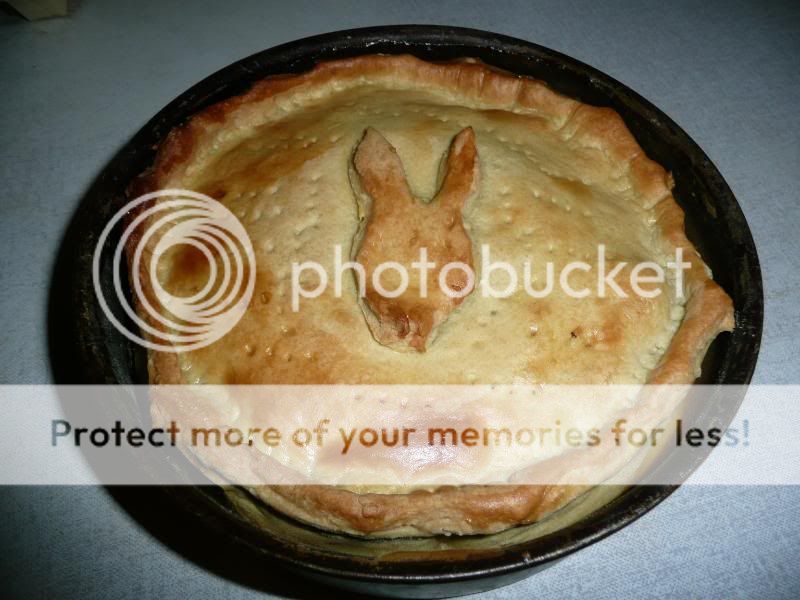 Got my first rabbit | Slingshots Forum