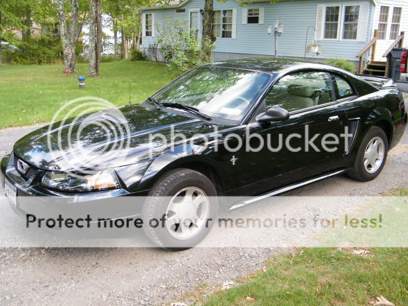 Sig Request Please | Modded Mustang Forums