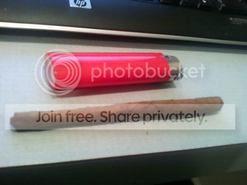 3G Blunt | Grasscity.forum
