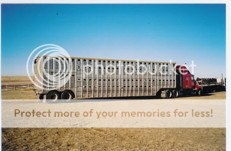 Brickman's First Rooster Cruiser | TruckersReport.com Trucking Forum ...