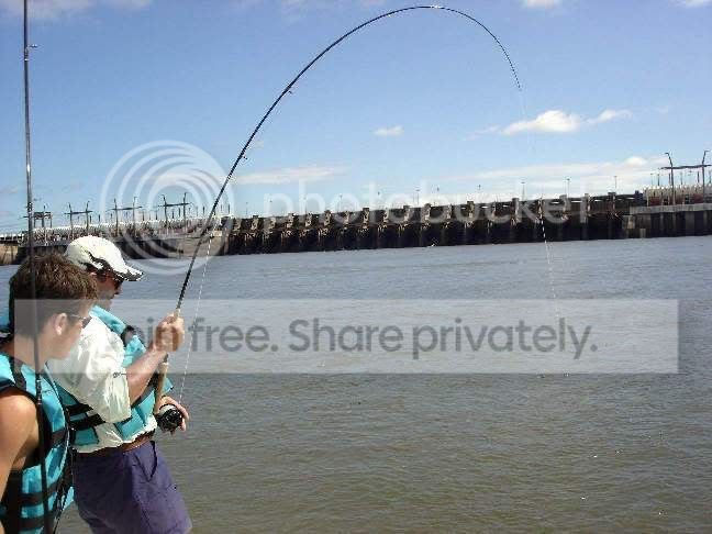 New World Record of freshwater Dorado | MonsterFishKeepers.com