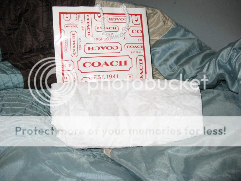 Smallest reveal EVER! | PurseForum