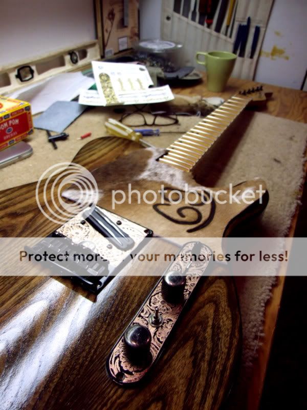 Show me your TELES with rear BELLY/TUMMY cuts and/or Front FOREARM cuts ...