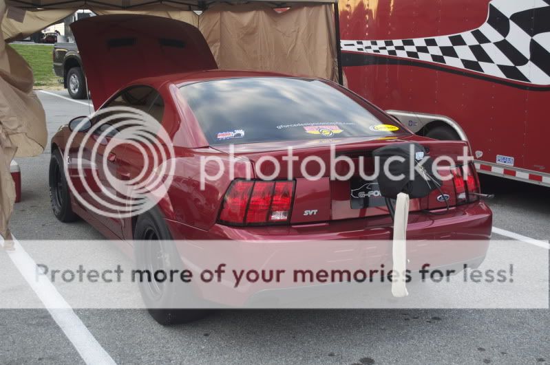 2012 Terminator / GT500 Shootout #1 Pics | Mustang and Ford Performance ...